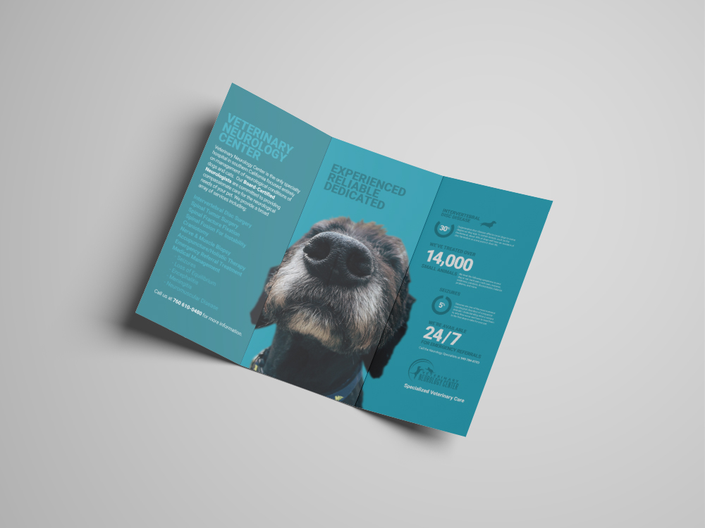 Veterinary Neurology Center - Branding